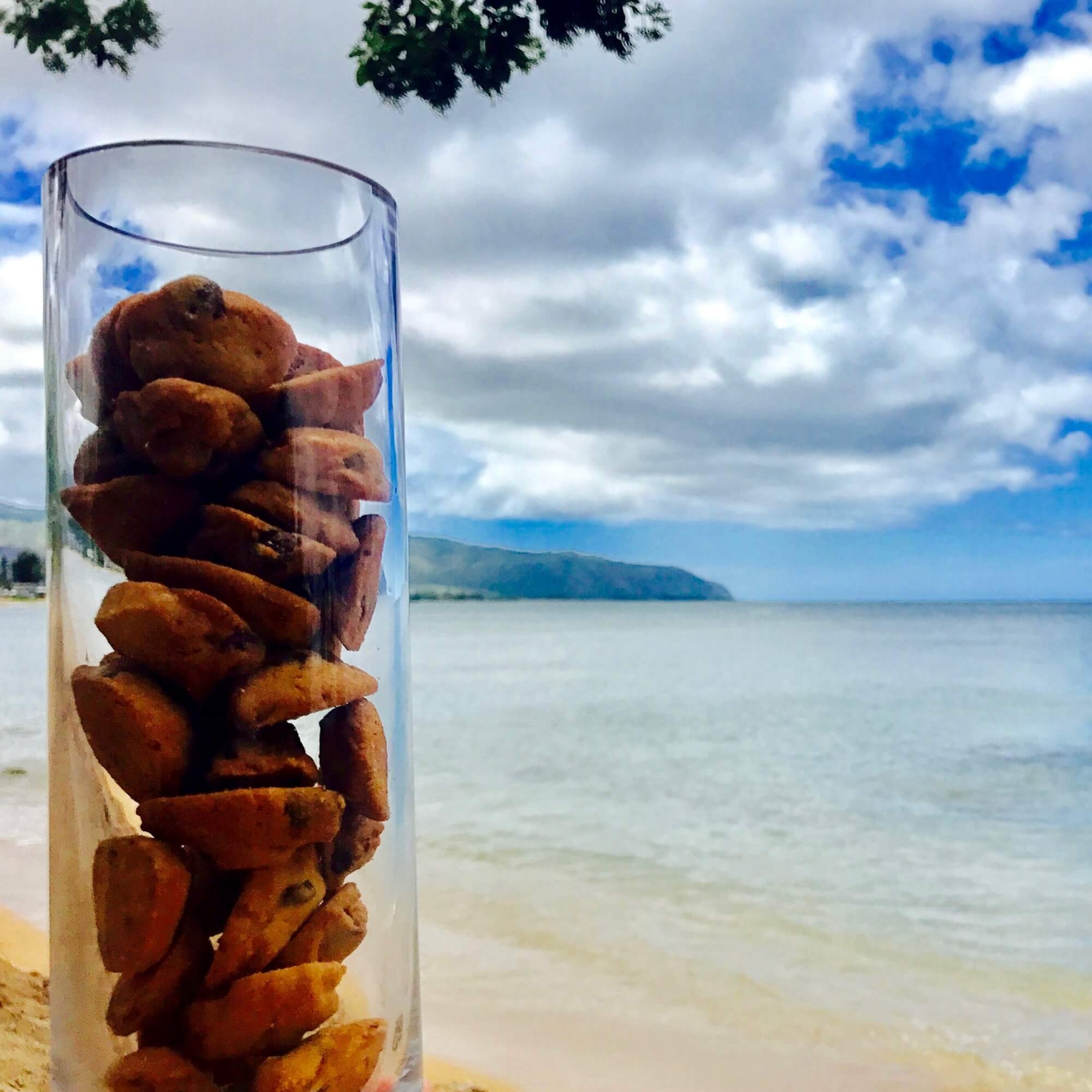 Traditional Bite Size Chocolate Chip – Cookie Corner Hawaii