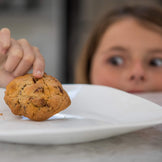 Original Size Chocolate Chip with Walnuts – Cookie Corner Hawaii