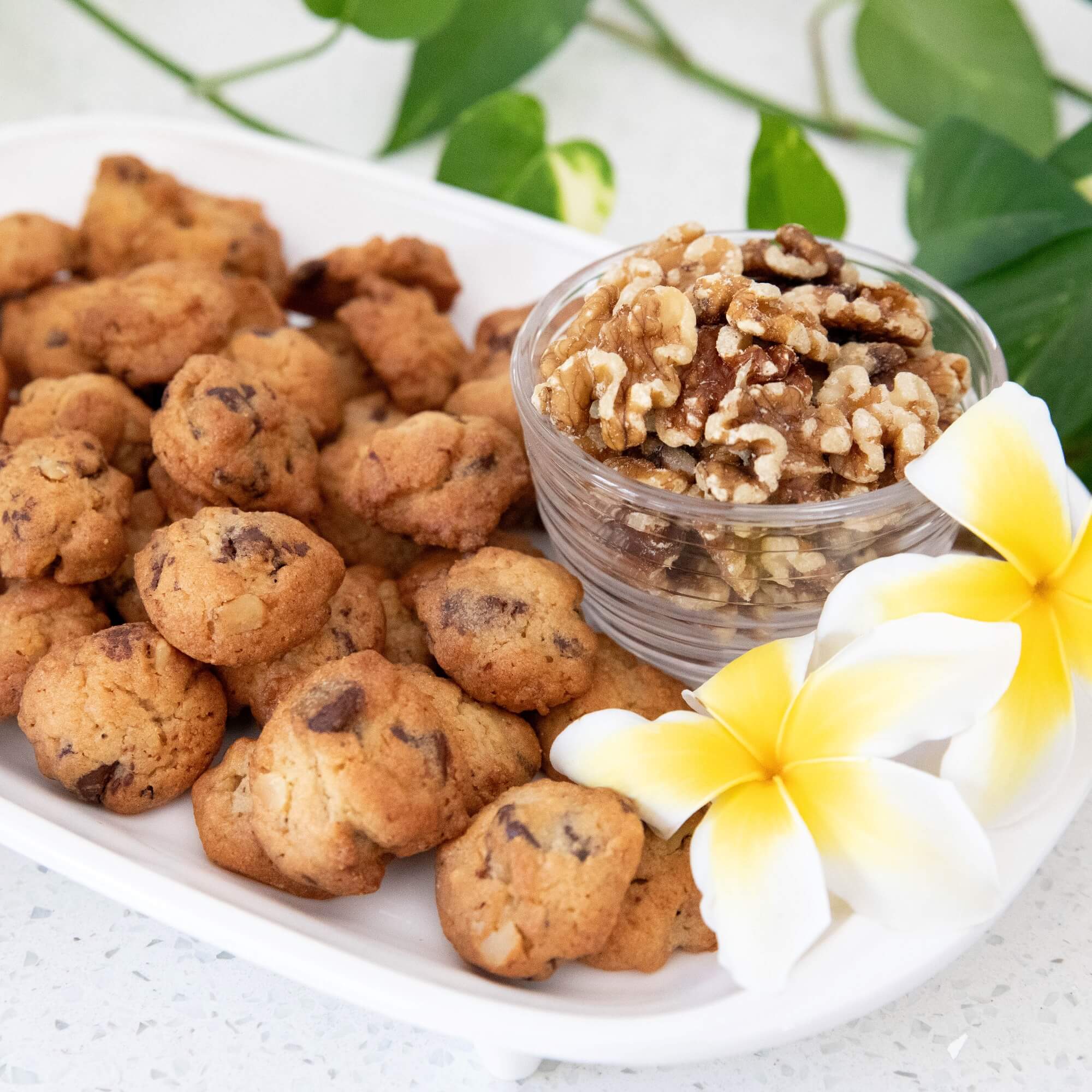 Traditional Bite Size Chocolate Chip with Walnuts – Cookie Corner Hawaii
