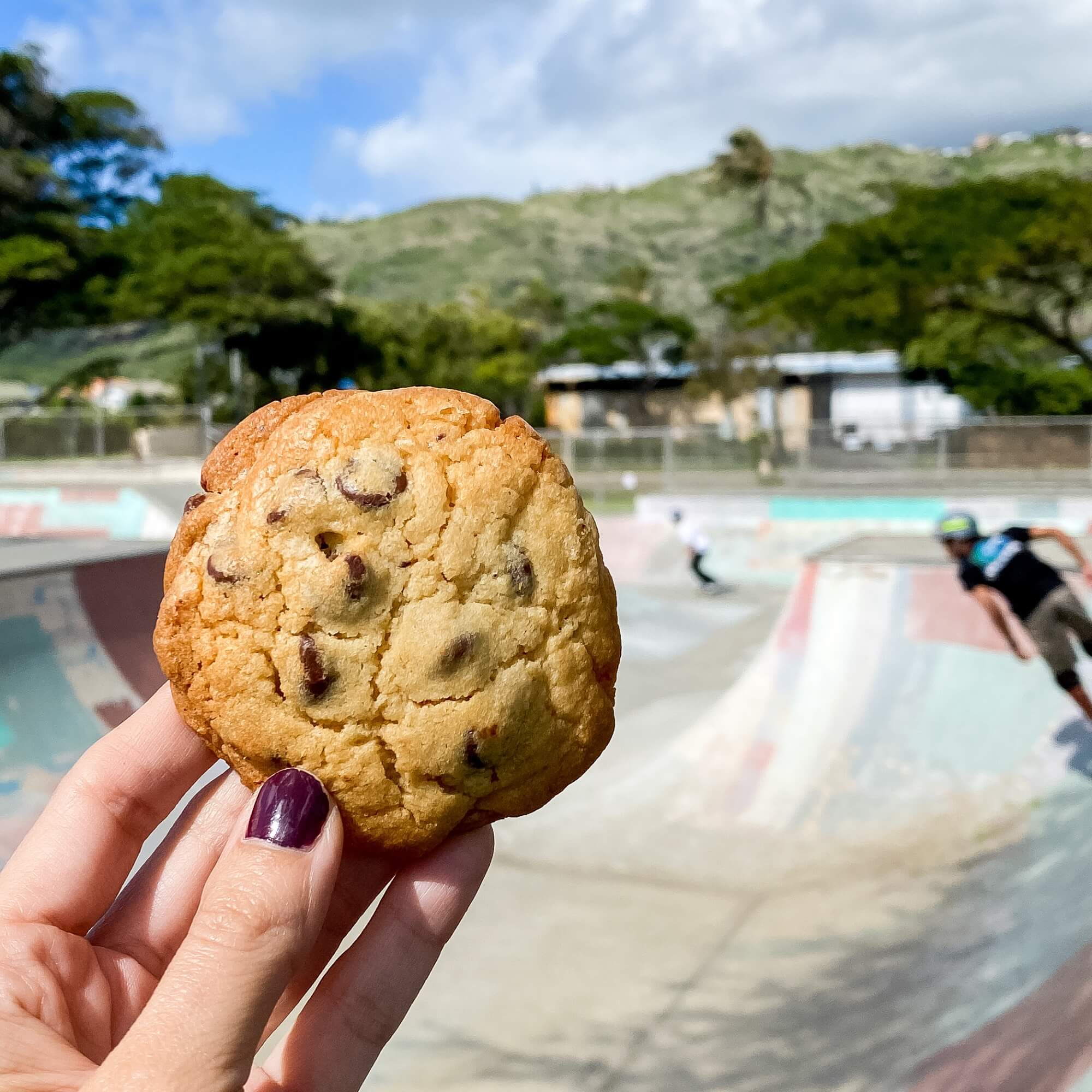 Original Size Chocolate Chip – Cookie Corner Hawaii