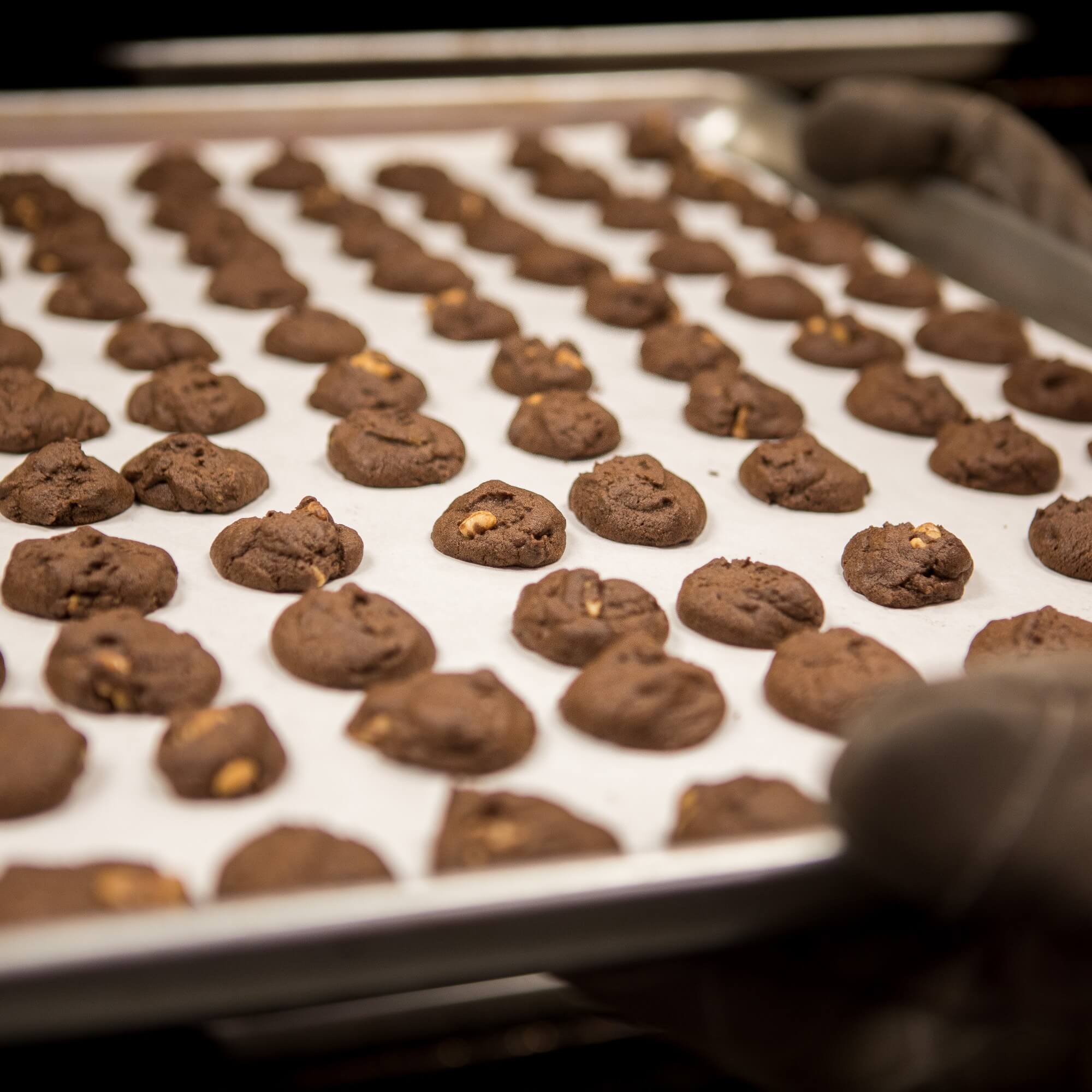 Traditional Bite Size Double Chocolate Chip with Walnuts – Cookie ...