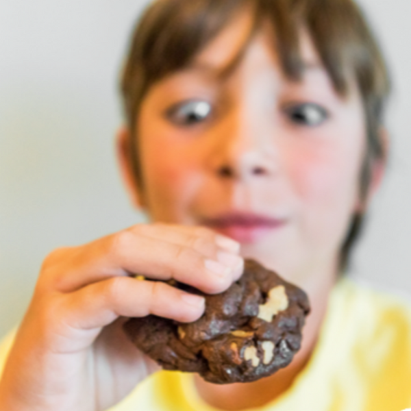 Original Size Double Chocolate Chip with Walnuts – Cookie Corner Hawaii