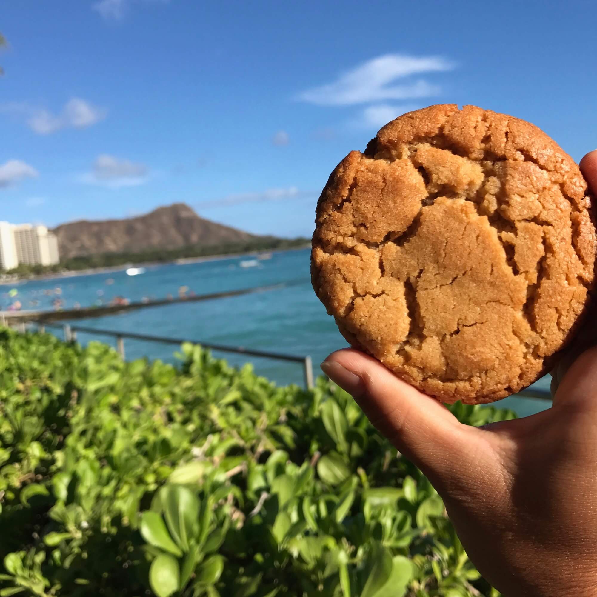 Original Size Peanut Butter – Cookie Corner Hawaii